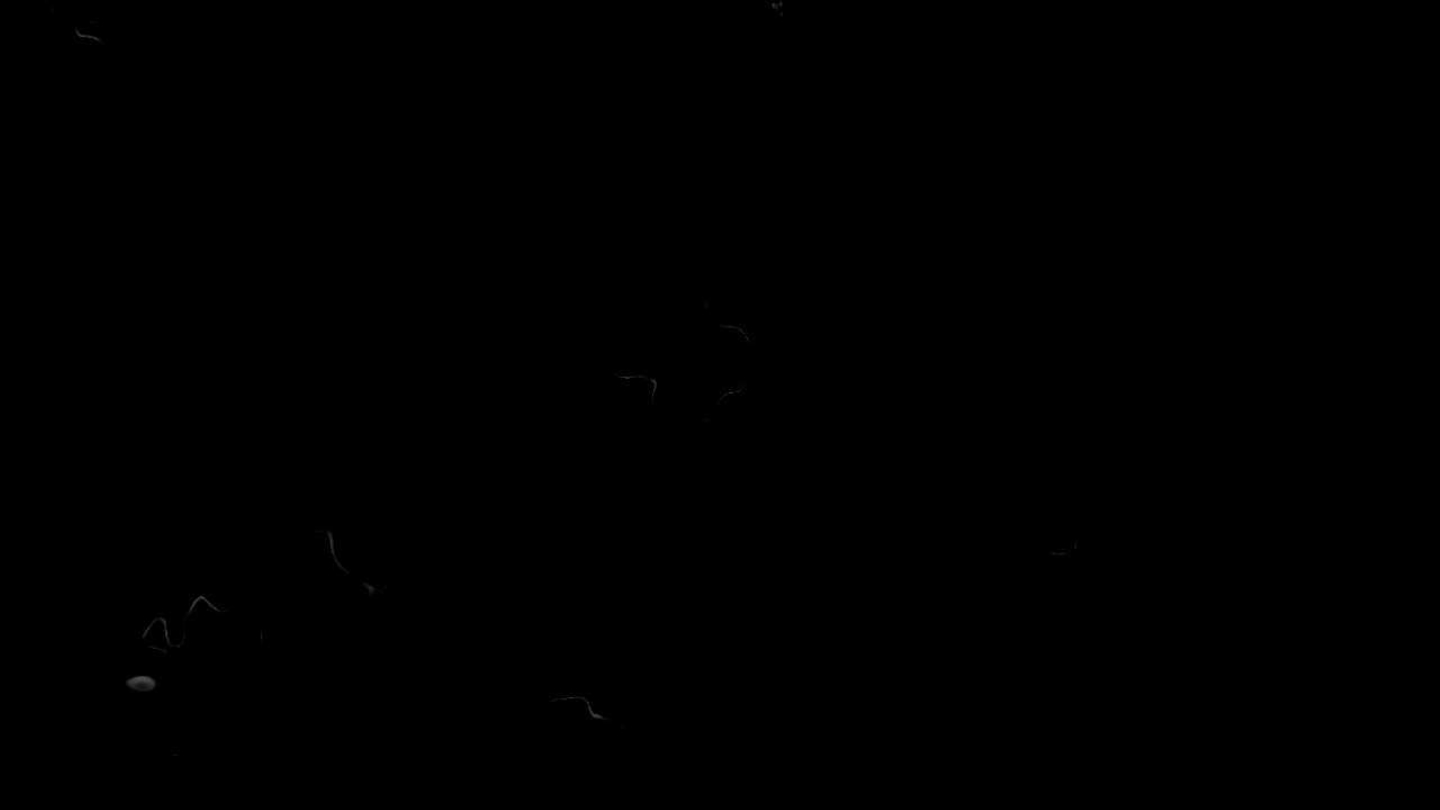 价值观的导向作用