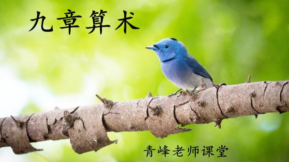 经典数学 九章算术之方田1.5 古时候的人们如何做分数的减法