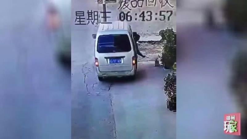 监拍早晨6点43分潮州盗狗一幕,实在猖獗