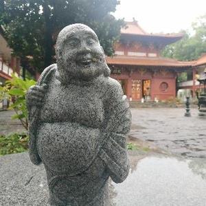 这个杀手有点逗b 