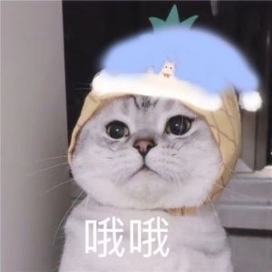 朱里兰 