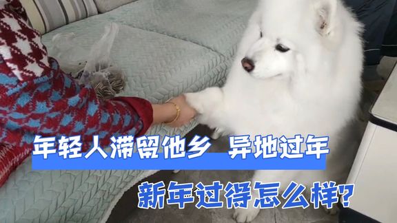 年轻人滞留他乡,异地过年,新年过得凄惨?