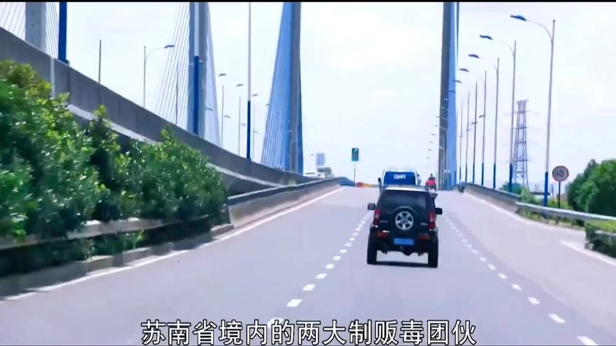 电视剧《卧底警花》#缉毒警察有多危险 #好剧推荐