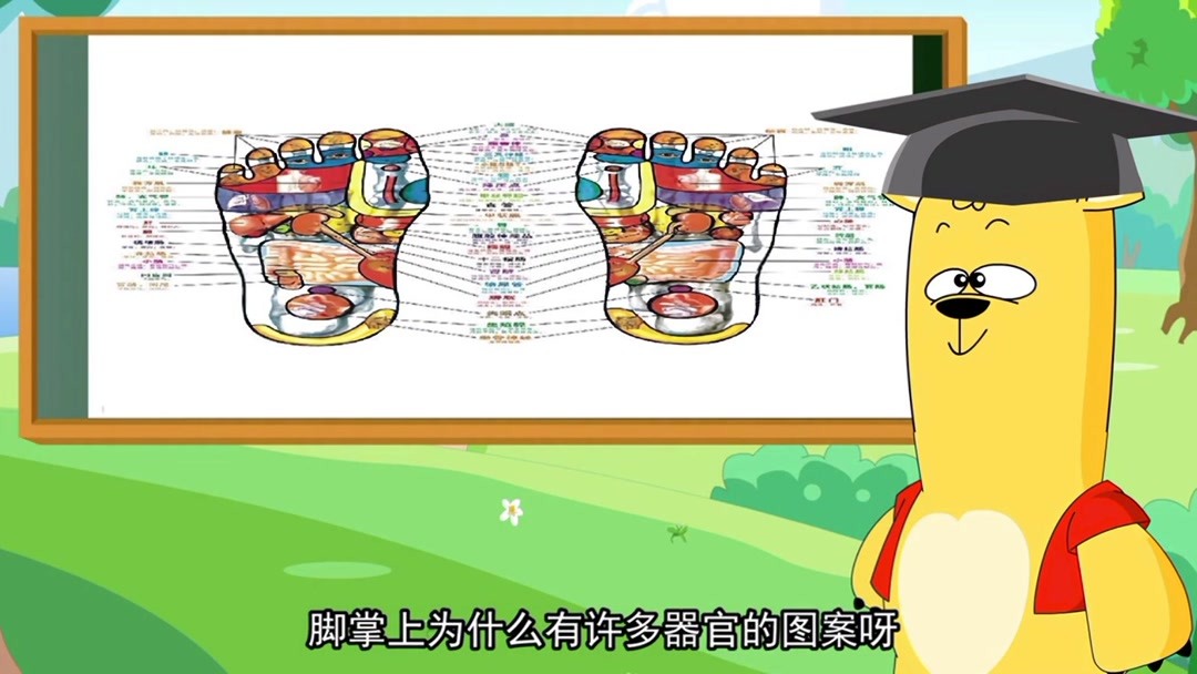 哈哈熊:你知道吗?人的双脚有很多穴位,对应了着人体的器官哦