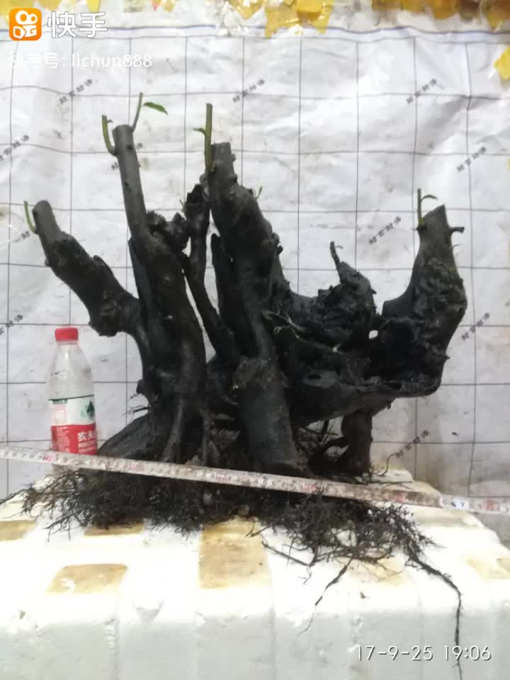 喜欢的加主页vx。