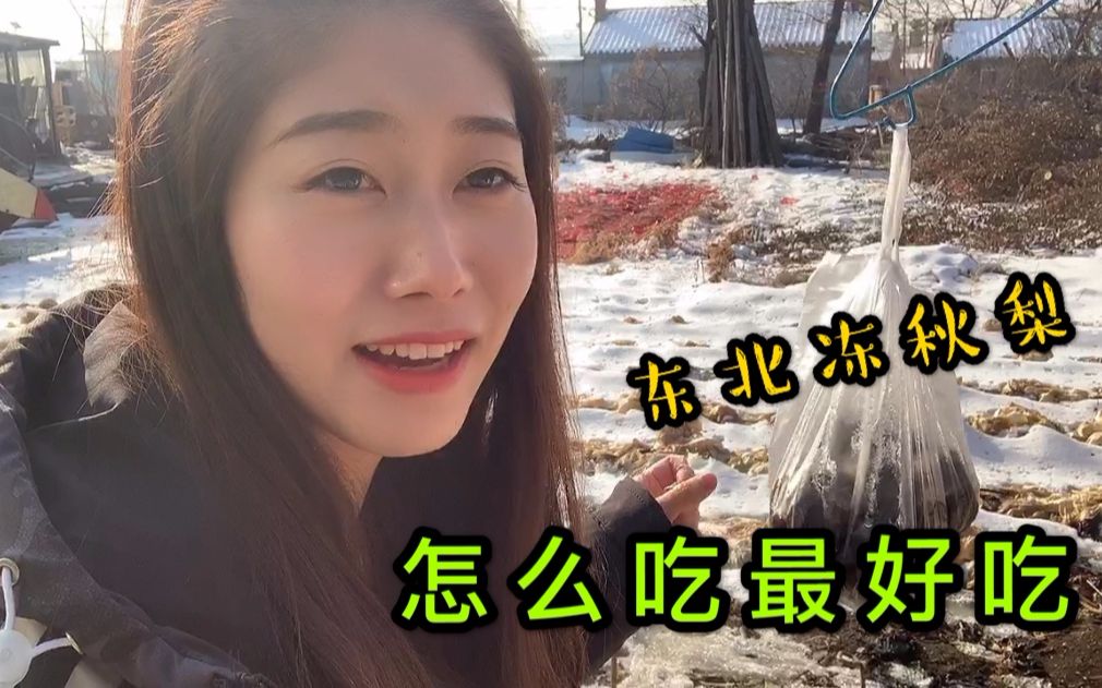 东北冻秋梨怎么吃最好吃?小白还原小时候独特吃法,一口气吃两个