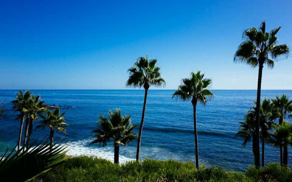 期货与期权建模课——希腊字母与波动率微笑