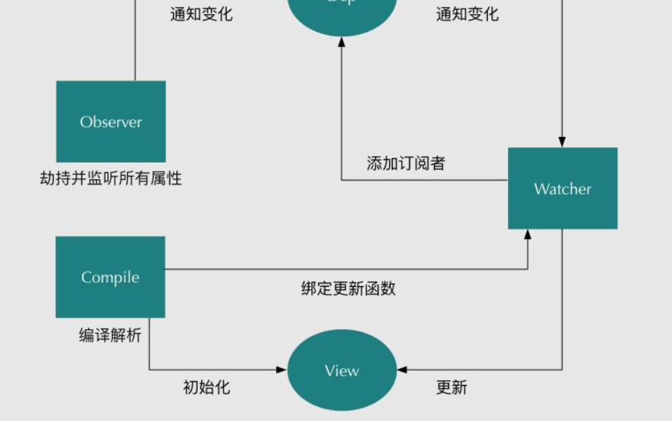 【小鹿线】vue数据双向绑定原理