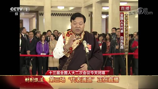 [十三届全国人大二次会议闭幕会]“代表通道” 人民日报社人民网记者...