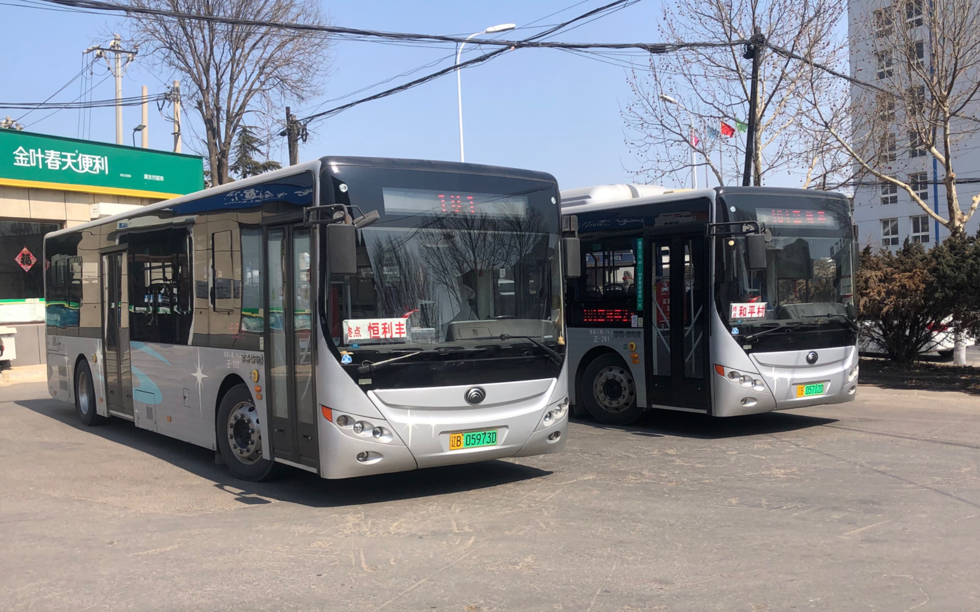 [POV-5]「查水表但没完全查」金州公交101路 马家新村>和平村 全程...
