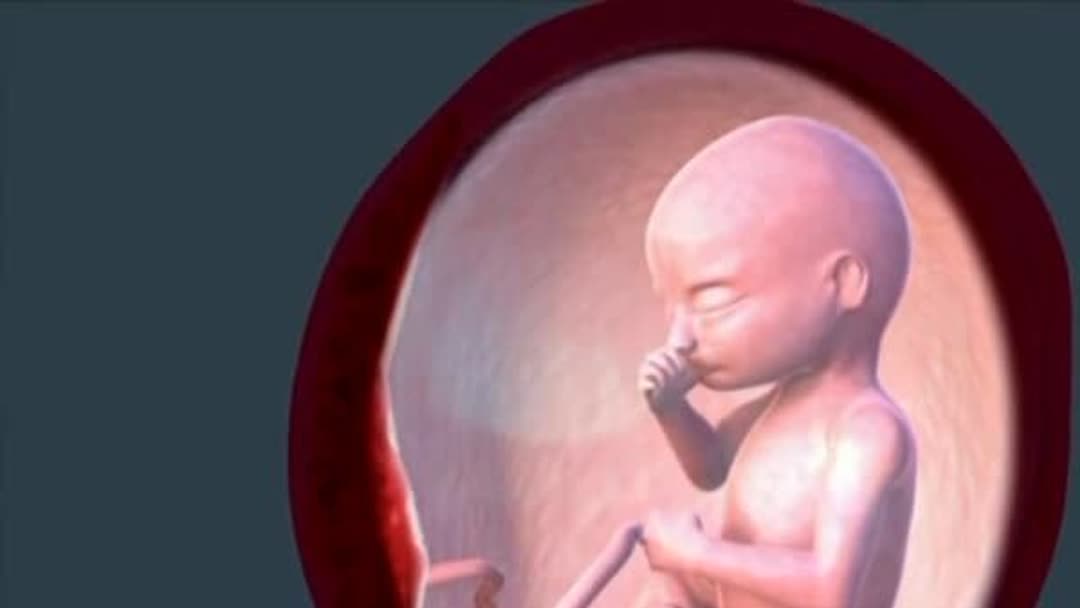 生孩子视频全部过程 胎儿在肚子里生长过程