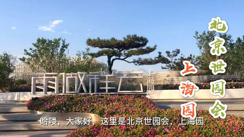 北京世界园艺博览会,小哥实拍上海园,带大家体验东方巴黎的魅力