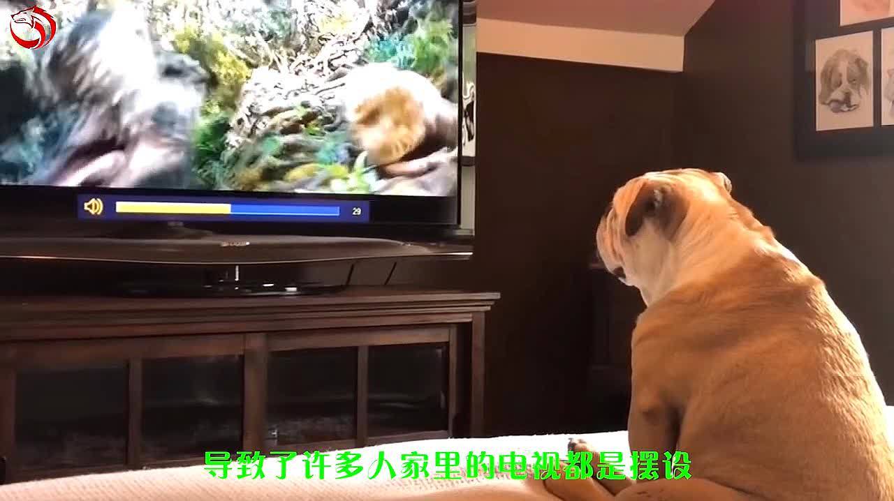 旅客住酒店一般不看电视,为何酒店要放台电视机?前台说出实情!