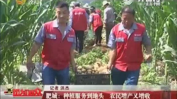 丰信服务到地头,农民增产又增收