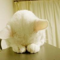 IT小龙 