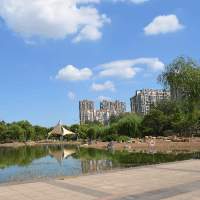 铭记华丽 