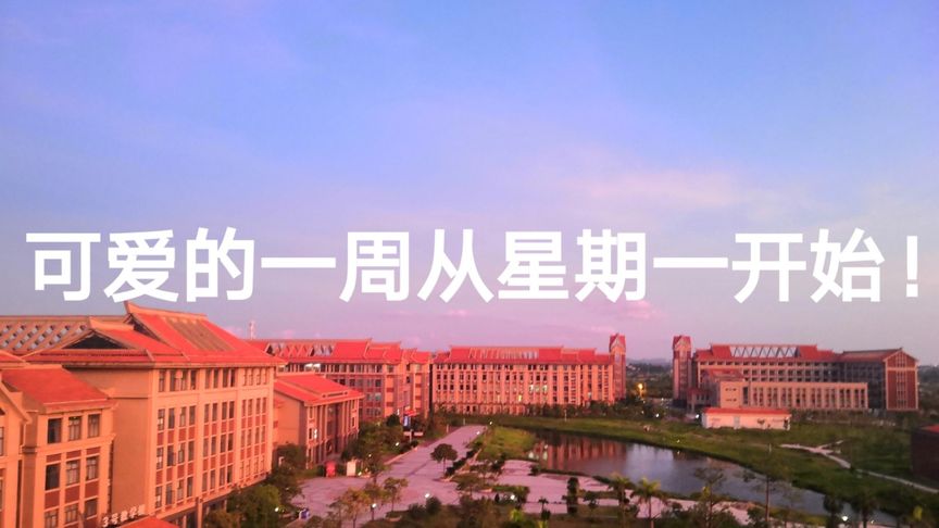 可爱的一周从星期一开始!请充满电迎接这个星期的生活!