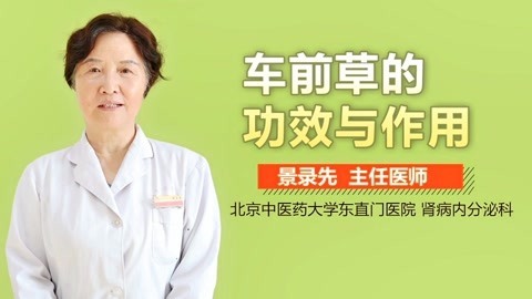 车前草的功效与作用