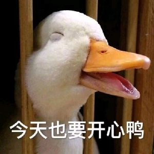 欲明己 