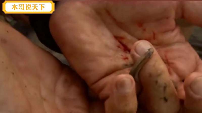 世界上最可怕的鱼,危害是食人鱼的100倍,要见了它必须赶紧跑!