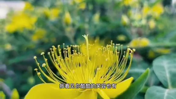 生活中不经意间的美丽。