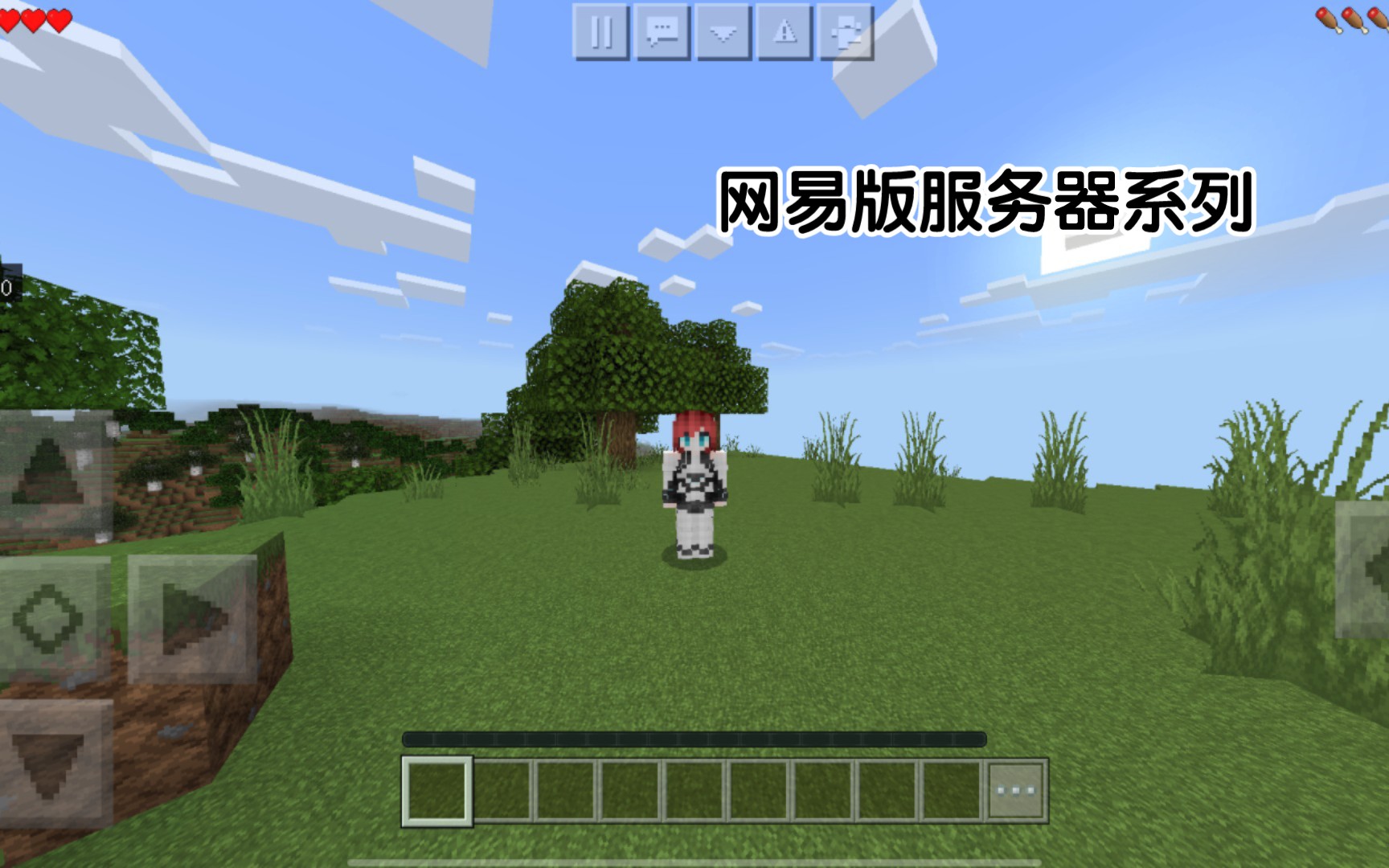 网易版我的世界服务器系列