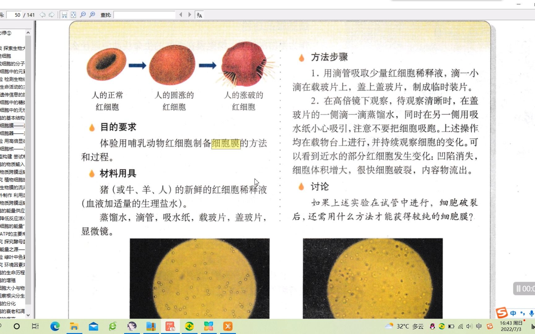 高中生物必修一 细胞的基本结构1