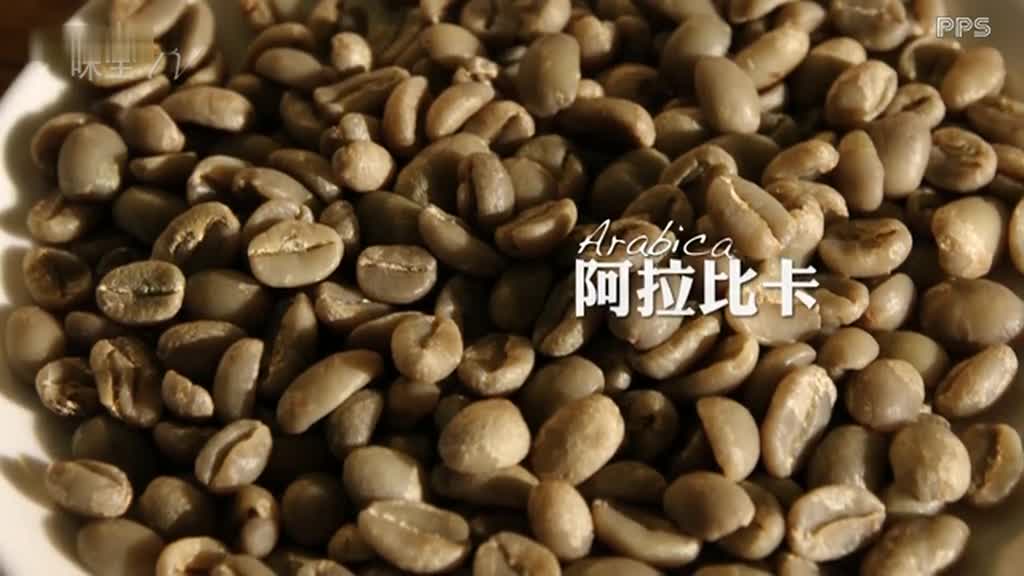 味全Caf:咖啡豆的分类