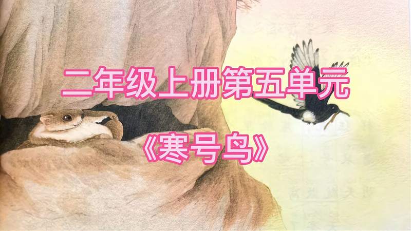 二年级上册语文第五单元第13课《寒号鸟》同步课文朗读