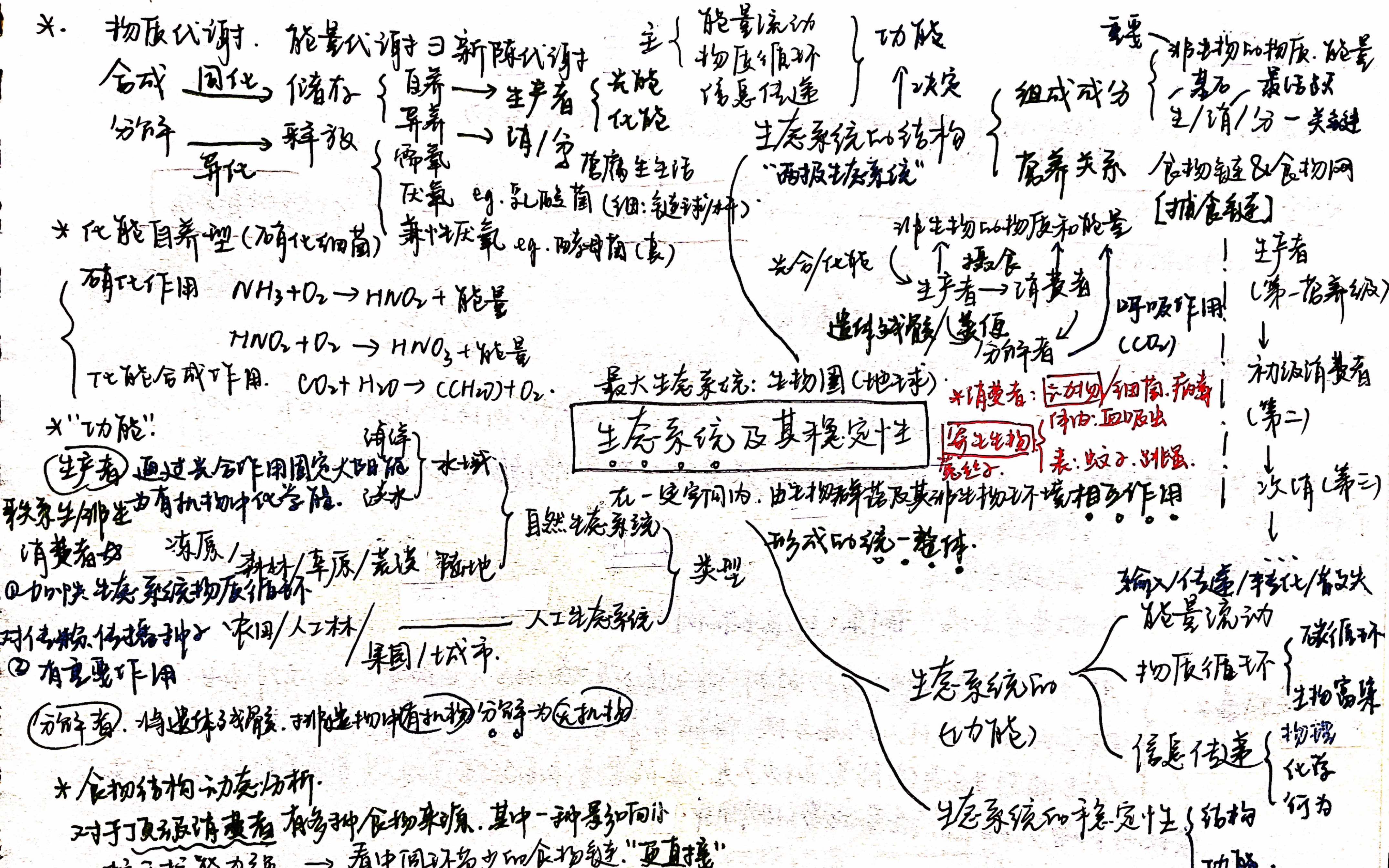 生态系统及其稳定性