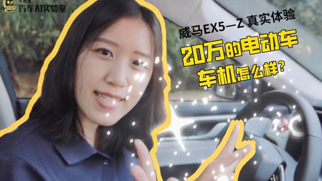 一起来看看, 20万元电动车的“智商”标准线,猜猜是什么车?