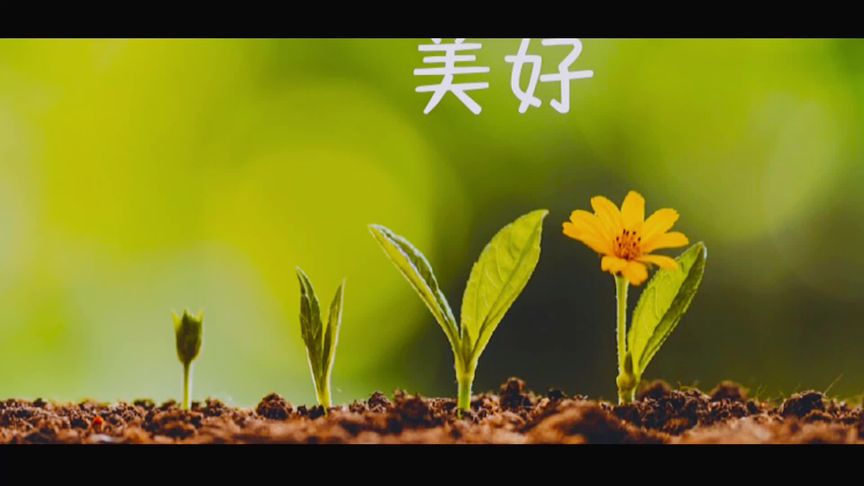#对生活多一份热爱 #万物生长 #喜欢就关注我吧 #一杯咖啡的温暖