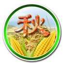 和平村田园秋叶 