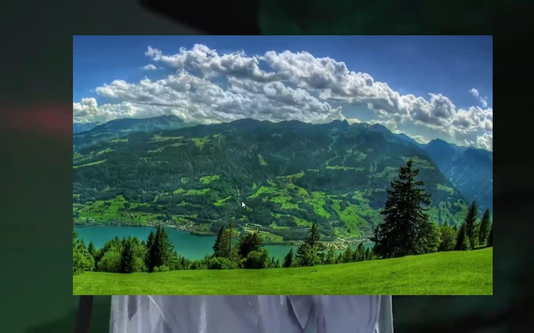 挂ea使用的vps服务器 外汇ea编程 小知识大才能