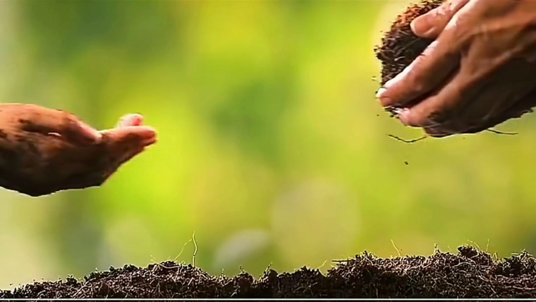 零基础学CorelDRAW之页面显示与对象管理器