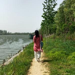 读书的兰心 