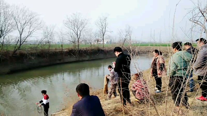 看看农村的撒鱼,撒到没有