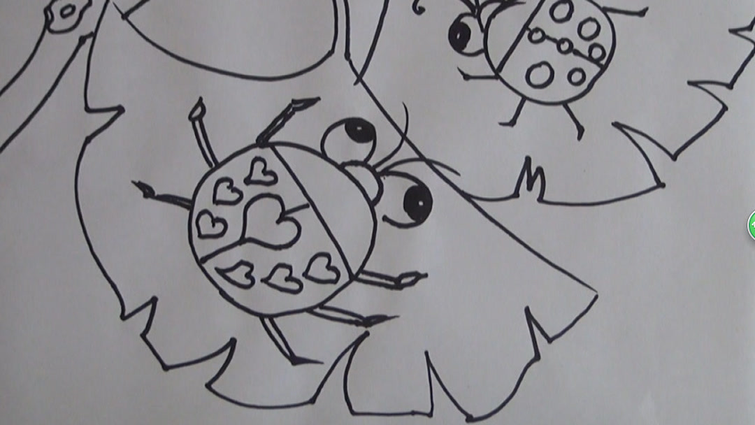 月亮姐姐简笔画七星瓢虫的画法