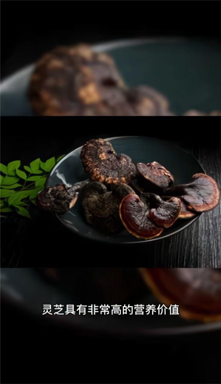 很多人都不知道,如何正确食用灵芝?
