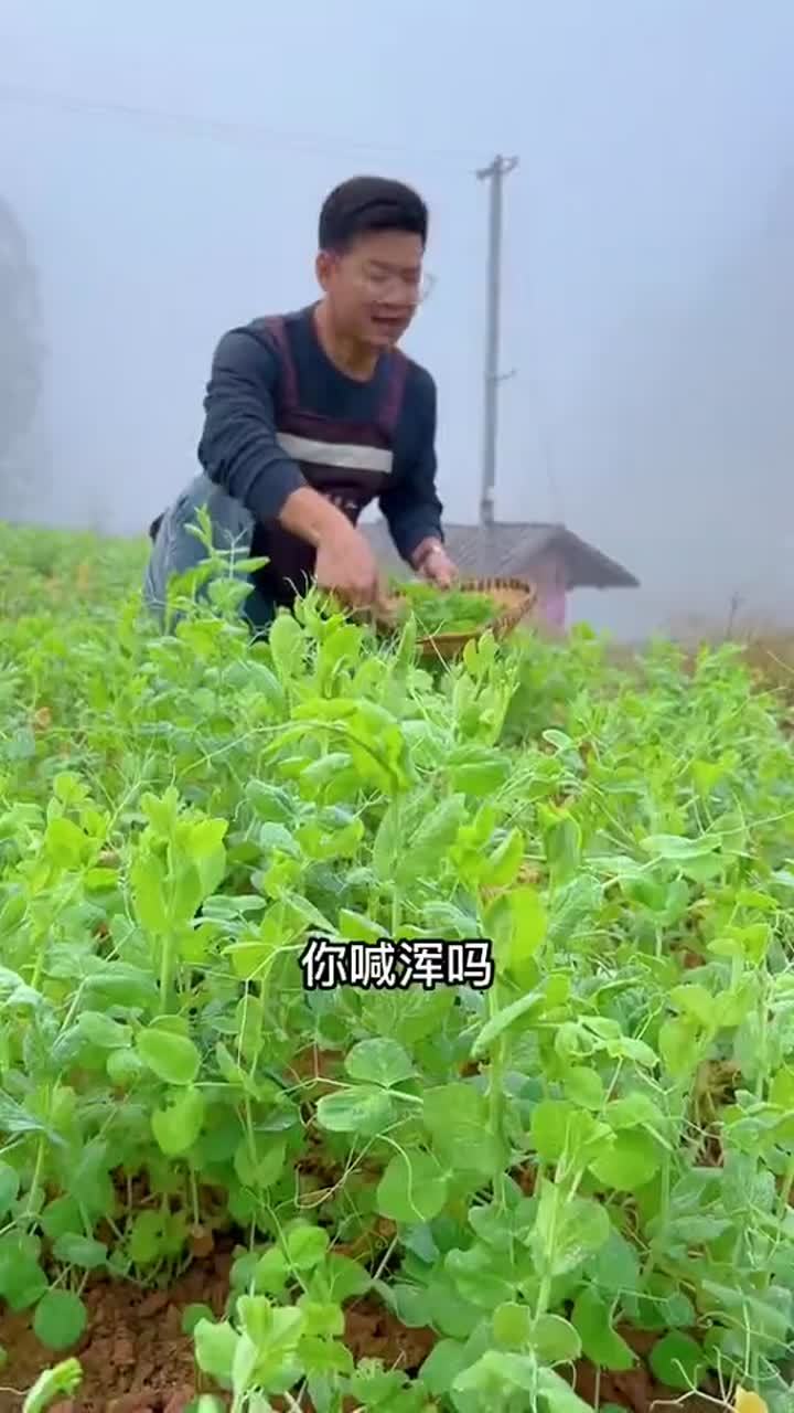 .就想小时候上学,每天清晨6点就起床了,天还没亮,路过...