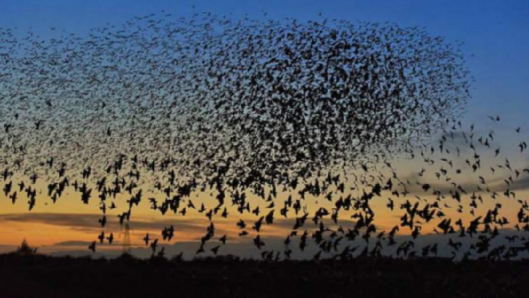 湖北天空出现怪异现象,现场多人用手机拍下,这到底是什么征兆?