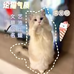 丸子超爱吃吖 