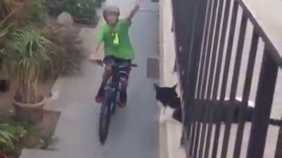 模仿人类行为的动物们[求饶][求饶][求饶](twi:tyomateee)