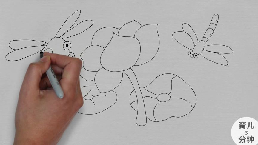 手绘简笔画儿歌《红蜻蜓》,听儿歌学画画