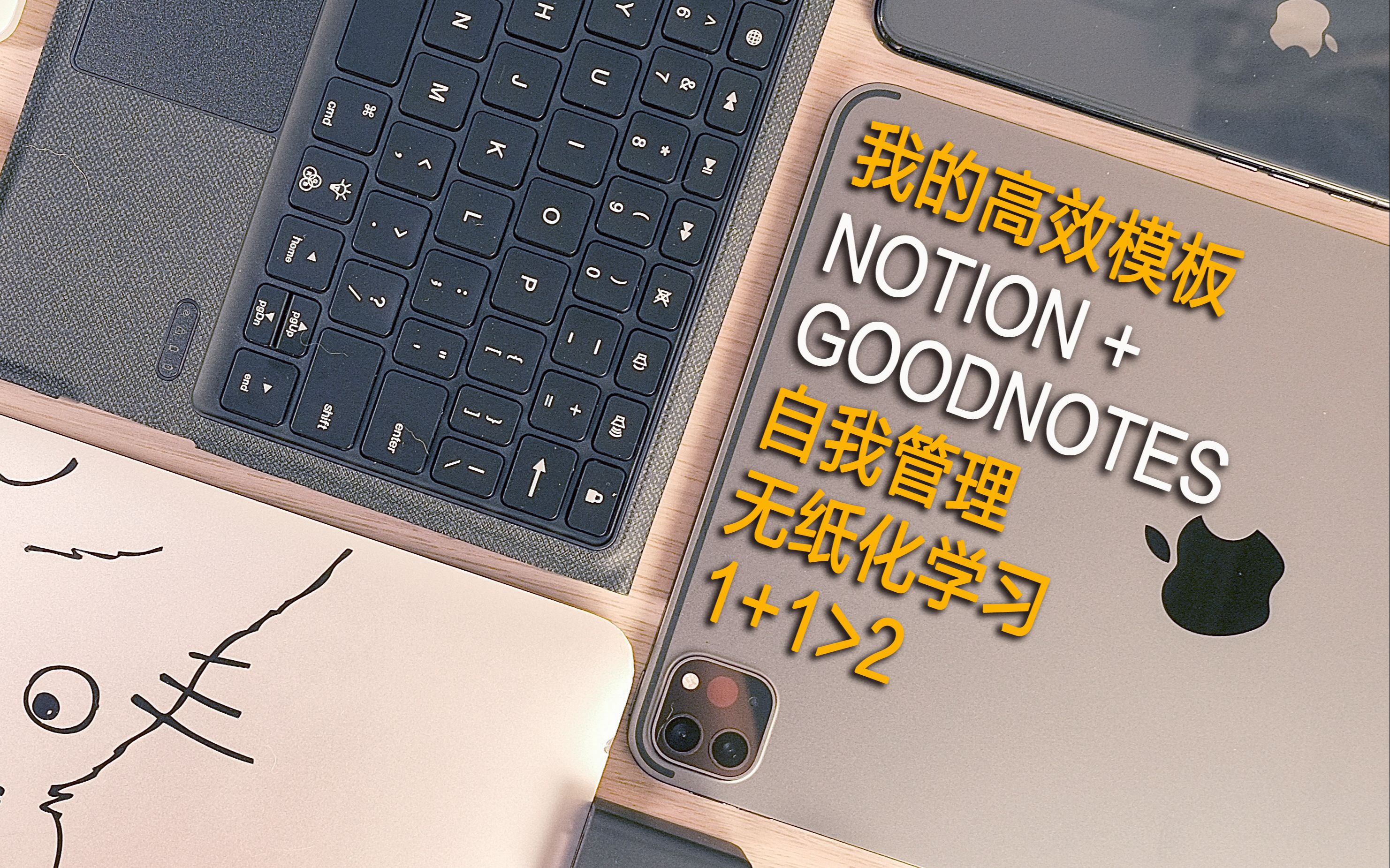 2022高效自我管理模板|Notion模板+Goodnotes模板|免费分享|免费电子...