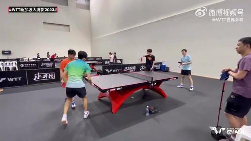 樊振东王楚钦赛前训练 今日樊振东和 王楚钦___ 都将...