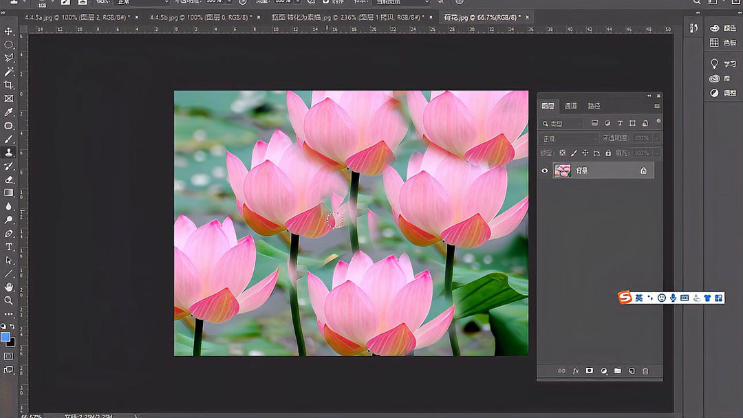 PS基本工具的应用实例,产品外包装设计更换,彩色照片转化为素描