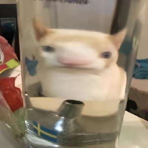 活着就会头痛吗 