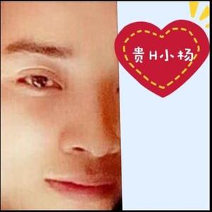 贵H小杨 