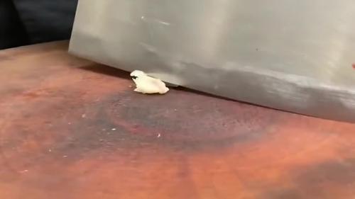 几十年经验的专业厨师教你这么切肉,下刀前,必须先敲手,网友,你学废了...